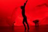 GALLIM Dance | Krannert Center for the Performing Arts | University of ...